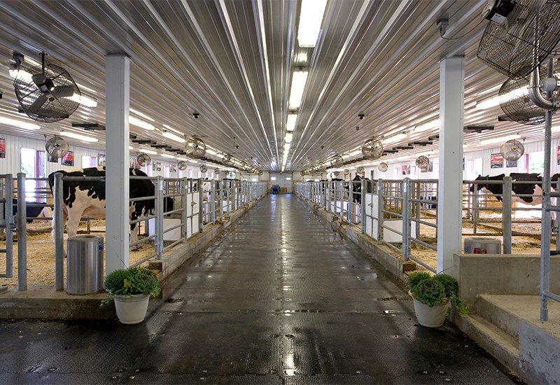 Design and Engineering | Dairy | Summit Livestock