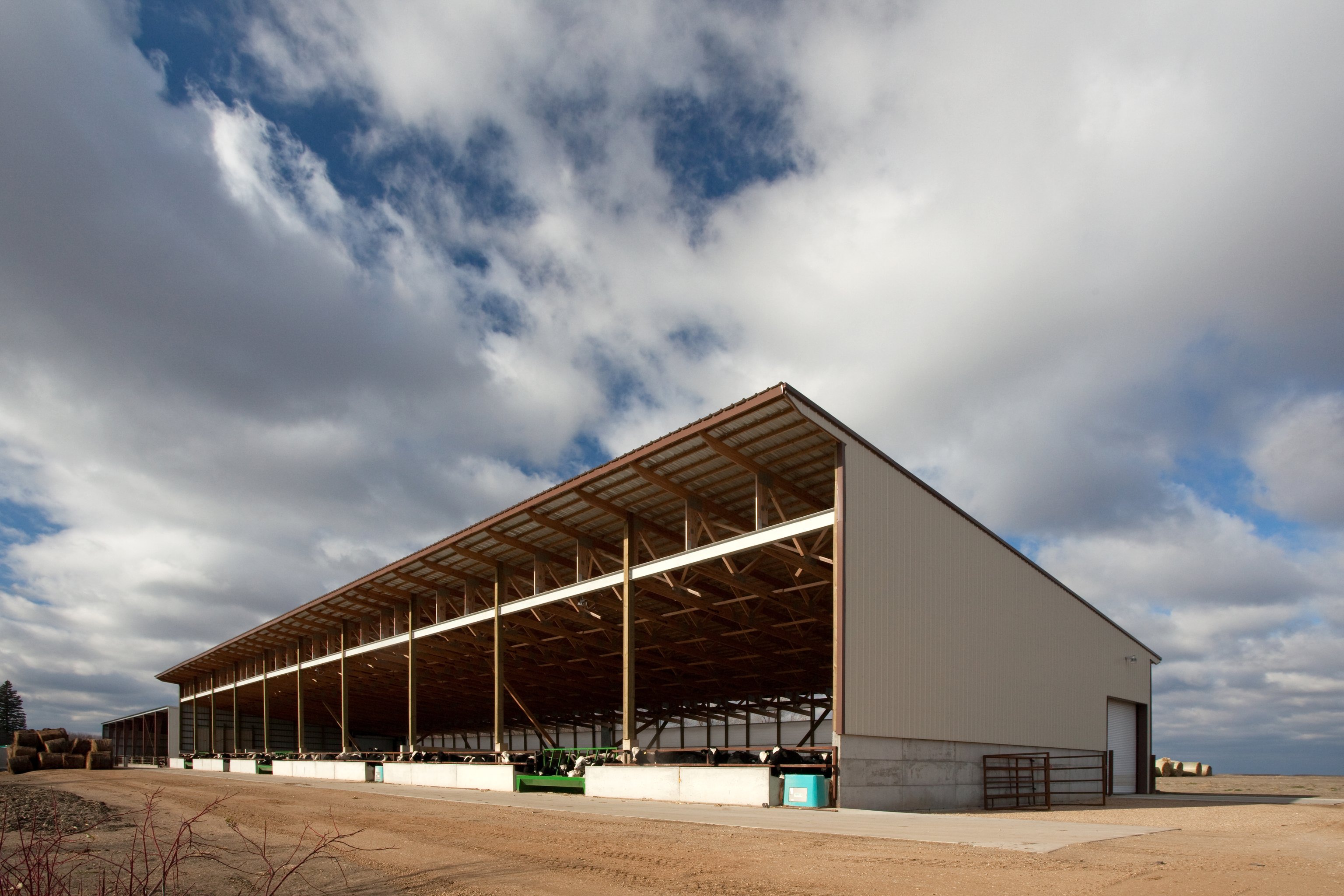 Beef Barns | How to Build a Monoslope Facility | Summit Livestock
