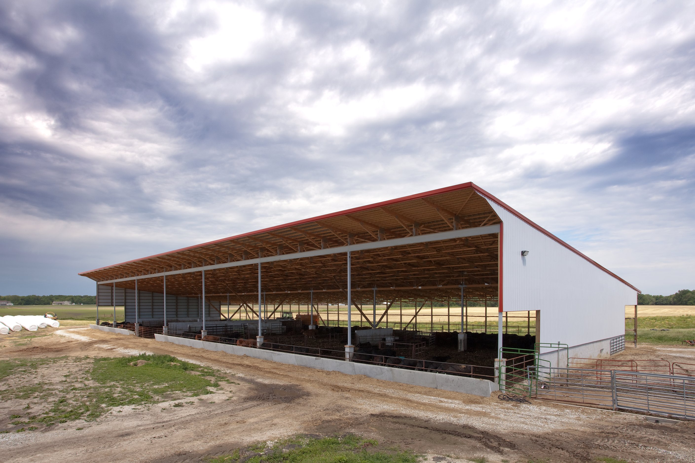 Beef Barns | How to Build a Monoslope Facility | Summit Livestock