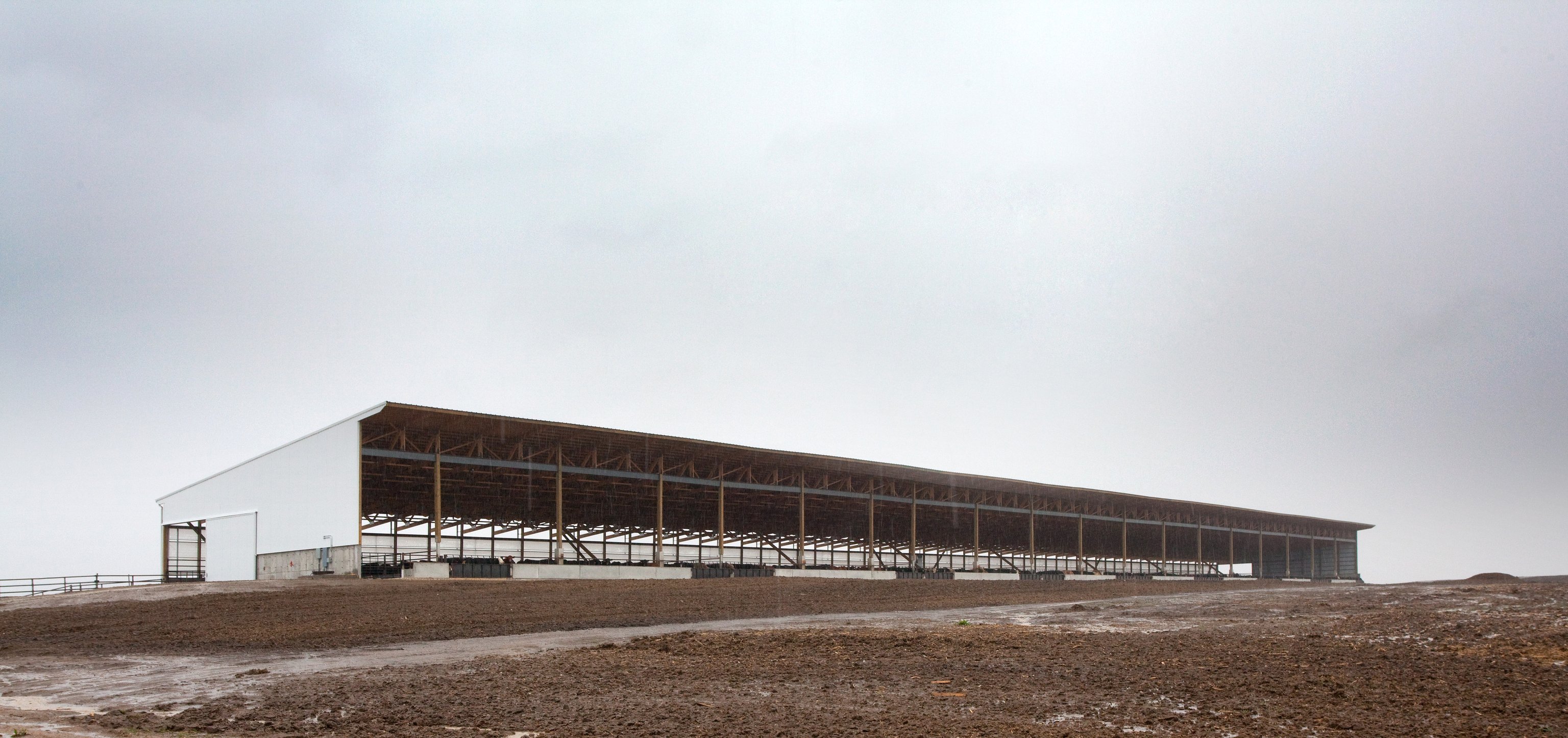 Beef Barns | Slatted Facility - Hooper, NE | Summit