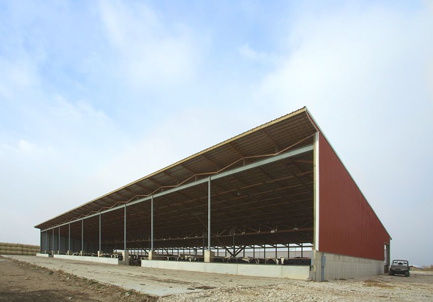 Beef Barns | How to Build a Monoslope Facility | Summit Livestock