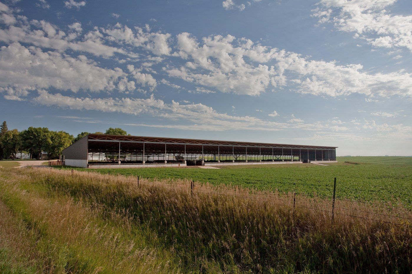 Beef Barns | How to Build a Monoslope Facility | Summit Livestock