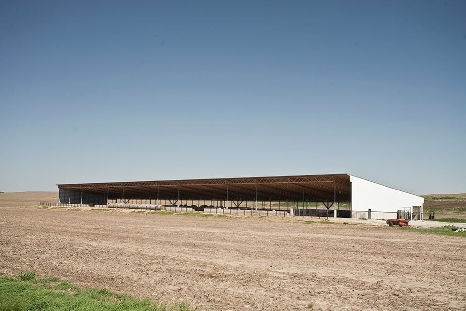 Beef Barns | How to Build a Monoslope Facility | Summit Livestock