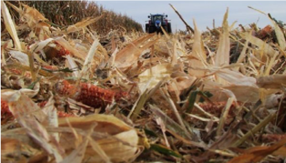 Sustainably Harvesting Corn Stover