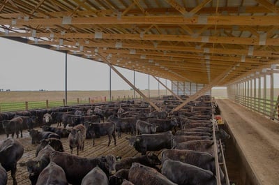 Building Engineering & Design | Summit Livestock