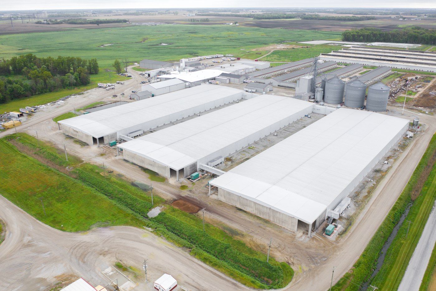 Layers & Pullets | How to Build a Cage Free Egg Facility | Summit Livestock