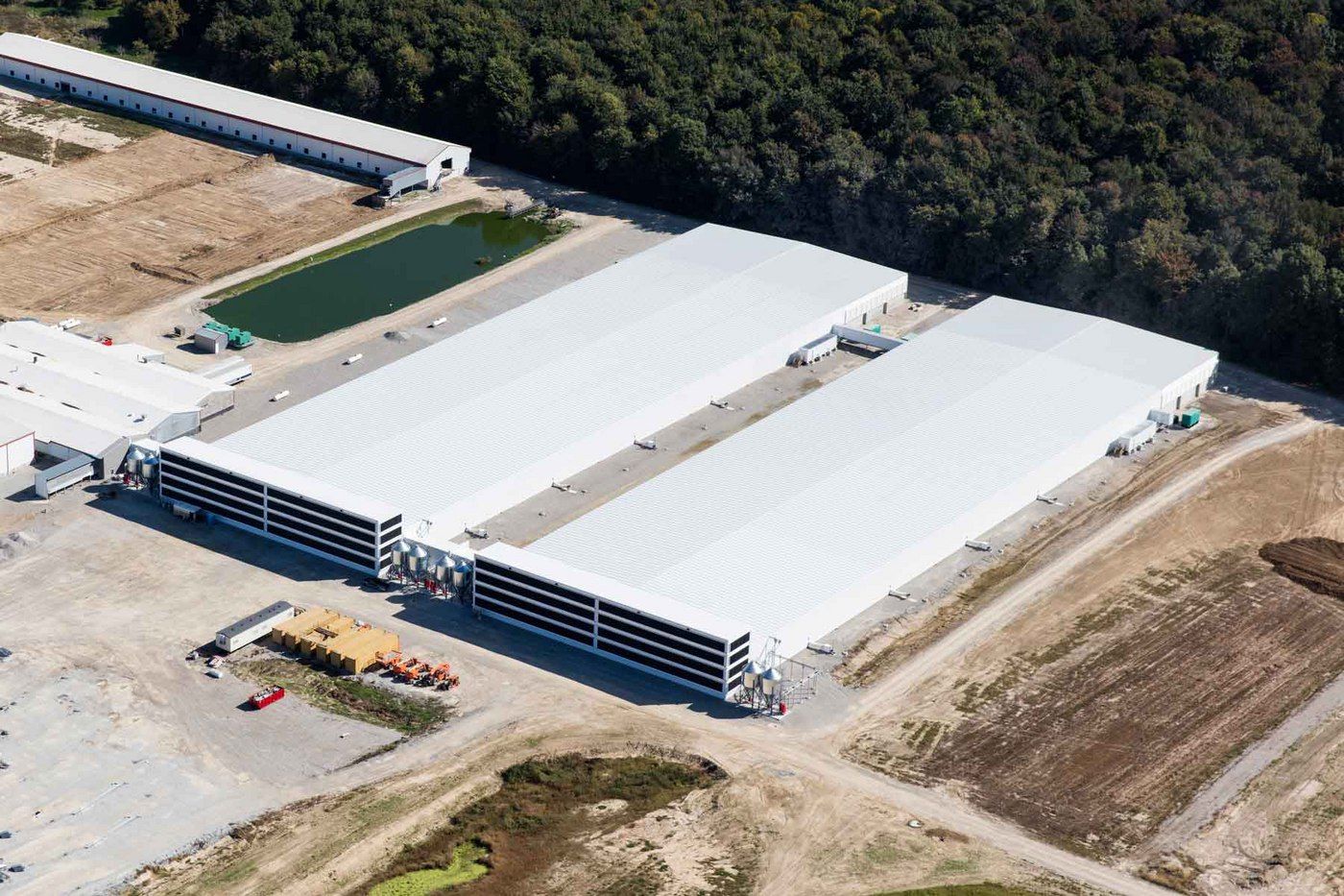 Layers & Pullets | How to Build a Cage Free Egg Facility | Summit Livestock