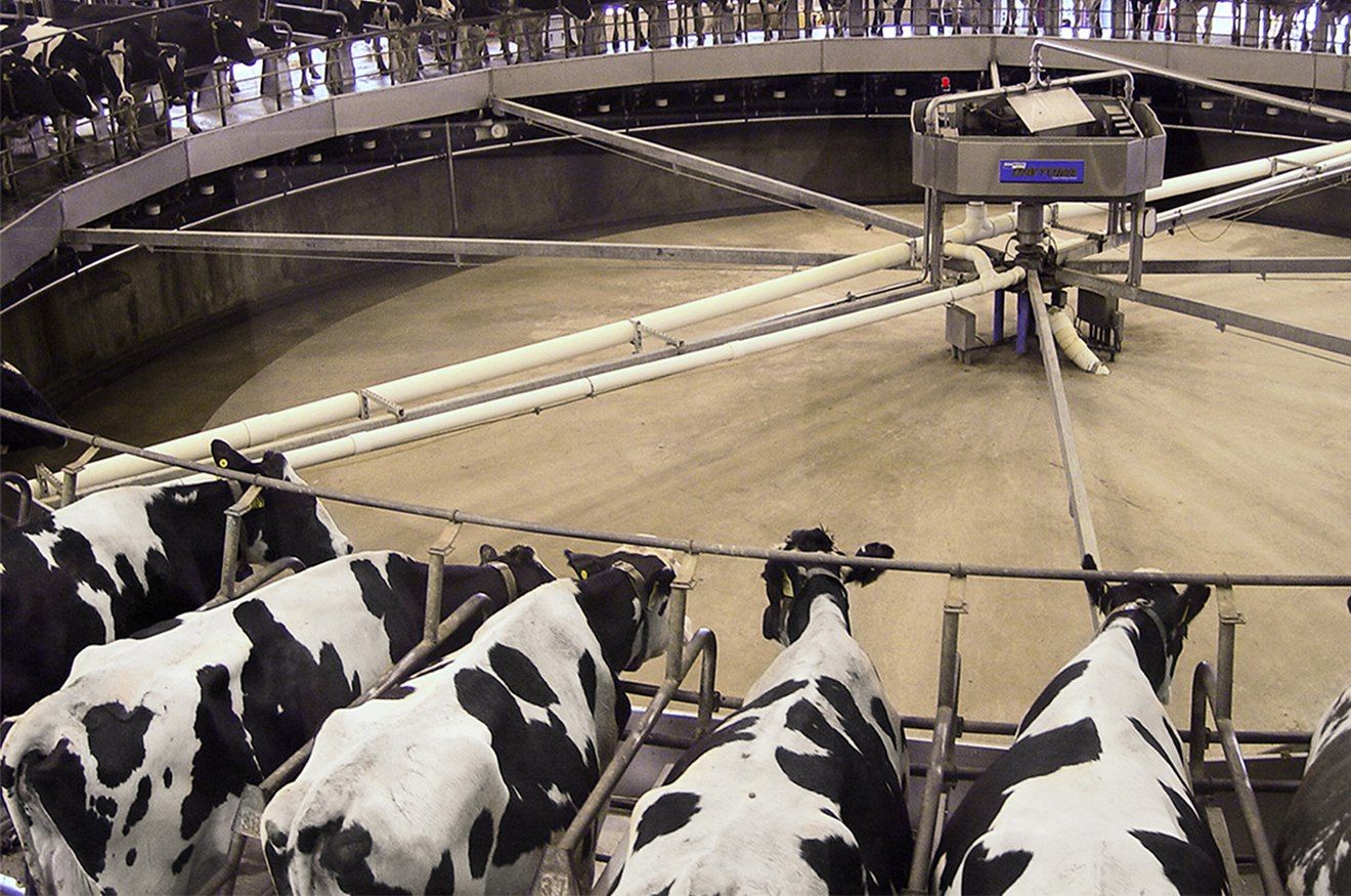 Design and Engineering | Dairy | Summit Livestock